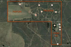 Blackbuck Trophy Hunting Ranches in San Antonio TX | Axis Buck Hunt ...