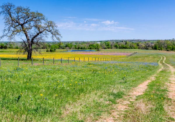 About Legacy Ranch - Legacy Ranch