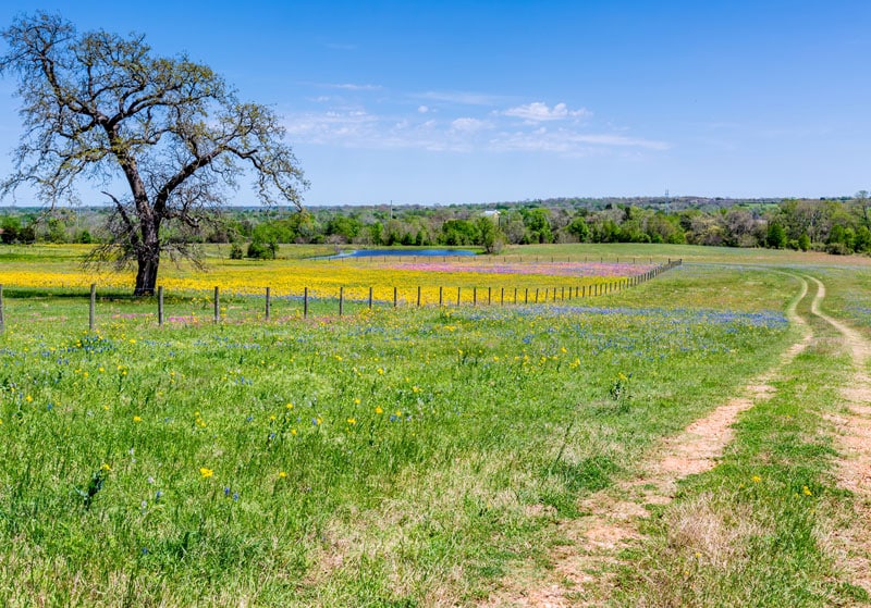 About Legacy Ranch - Legacy Ranch